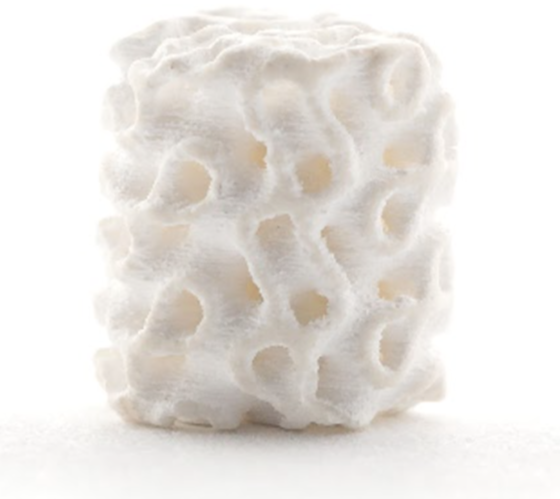 3D printed bone – QasE3D